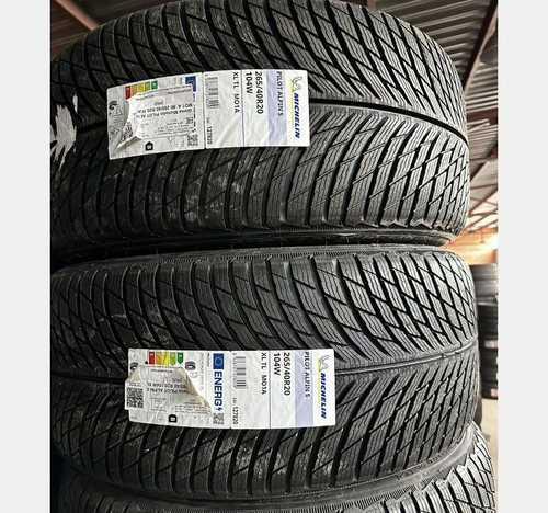 Michelin Pilot Alpin 5 265/40 R20 и 295/35 R20 105W