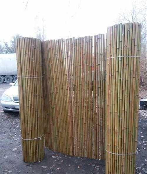 Бамбуковые заборы