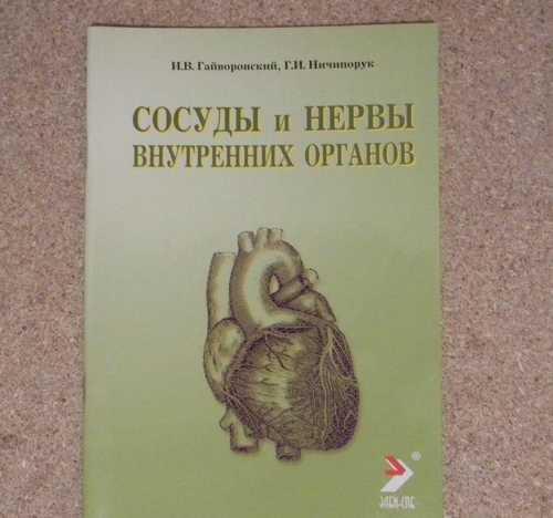 Сосуды и нервы внутренних органов.Гайворонский