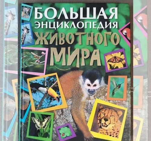 Книга большая энциклопедия животного мира