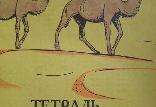 Рабочие тетради 1 класс в косую