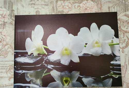 Картина "Орхидея на камнях"