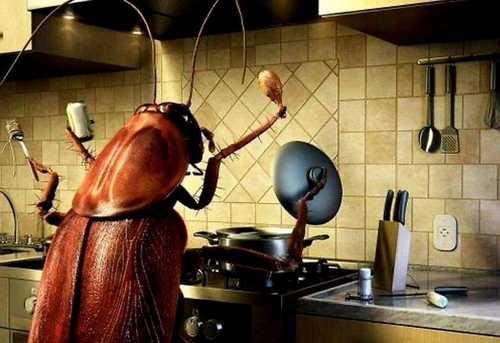 Самый сильный гель от тараканов, муравьёв