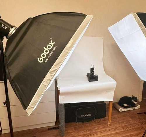 Godox ms300v