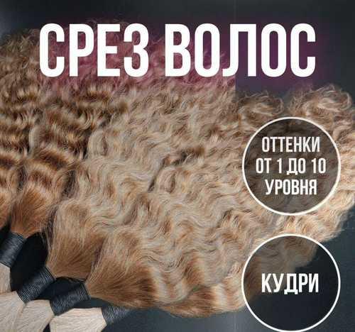 Волосы в срезе кудрявые