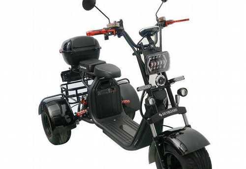 Электроскутер CityCoco SkyBoard Trike BR40-3000 PR