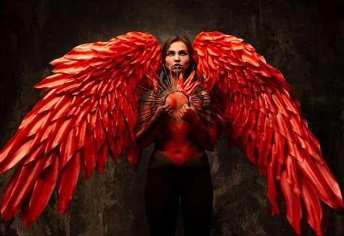Крылья ангела красные