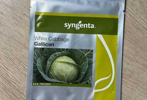 Семена Syngenta капуста Gallican