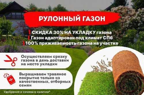 Рулонный газон Люкс для участка