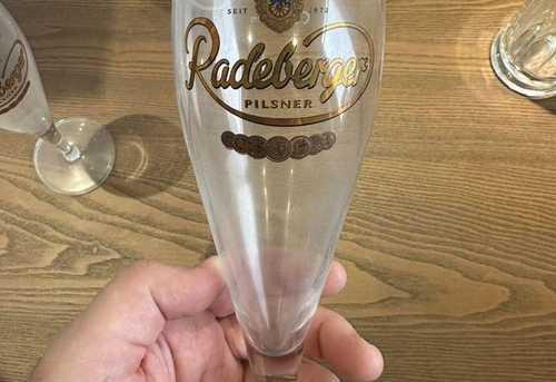 Пивные бокалы Radeberger