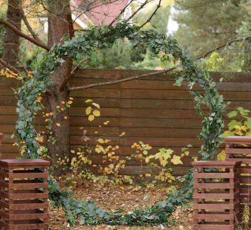 Свадебная арка из зелени эвкалипта