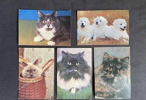 Календари кошки-собаки 1993 - 5 шт