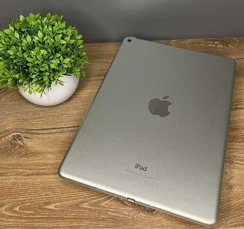 iPad Air 2