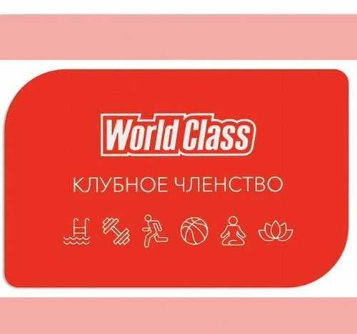 Фитнес клуб World Class пр. Стачек, на 2 мес