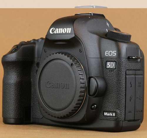 Canon EOS 5D Mark II (id-04037)