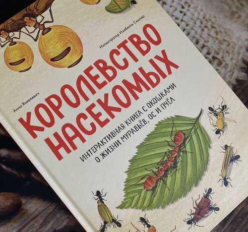 Книга Королевство насекомых Миф