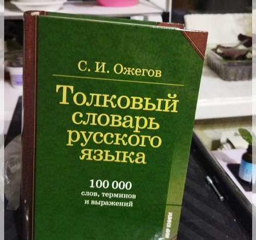 Толковый словарь Ожегова