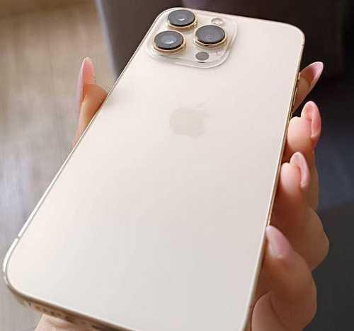 iPhone 13 Pro, 256 ГБ