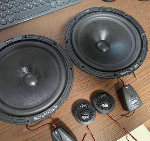 Динамики Blam 165 ES