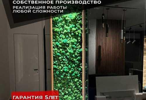 Стабилизированный мох, работаем по всей России