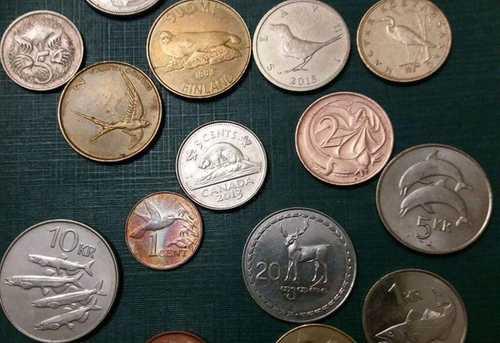 Монеты животные набор 18 шт