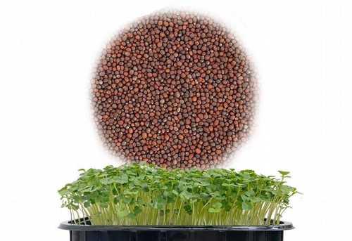 Семена Микрозелень от 50 грамм арт.0069