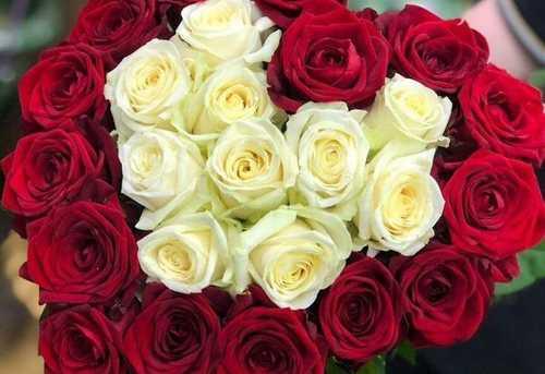 Букет из 25, 51 розы "красное-белое"