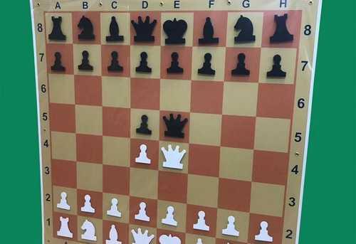Шахматы демонстрационные Классика 62х62 см