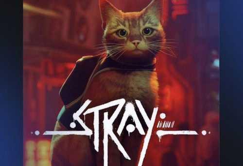 Stray Xbox Красноярск