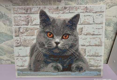 Алмазная мозайка "Британский кот"