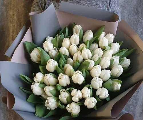 Букет 45 белых тюльпанов, цветы доставка