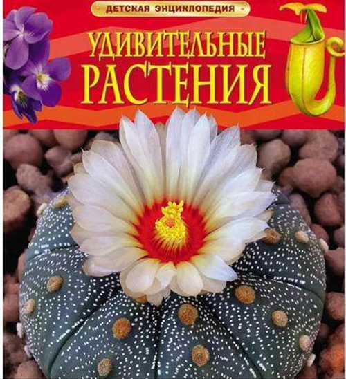Книга 24751 Удивительные растения