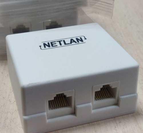 Настенная розетка Netlan RJ45 2 порта Cat.5e