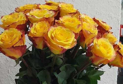 Цветы розы / букеты с доставкой