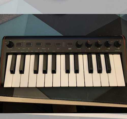 Миди клавиатура IK multimedia iRig Keys 2 Mini