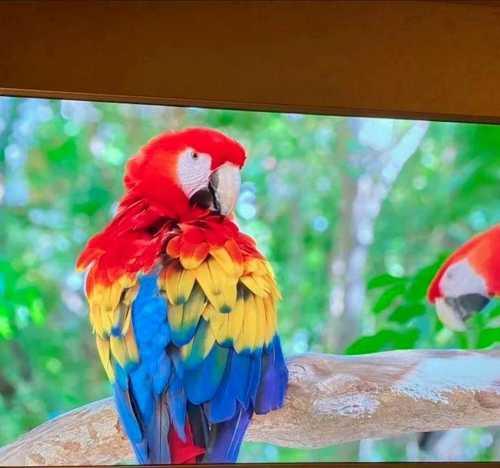 4K dexp U50G8000Q/G 50"