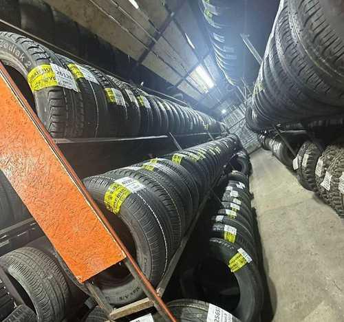 Tigar Sigura Stud 195/65 R15