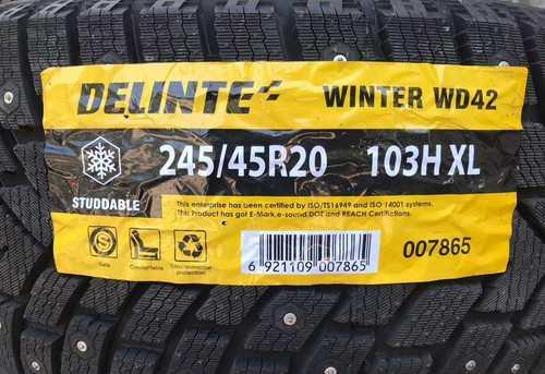 Delinte Winter WD42 245/45 R20 103H