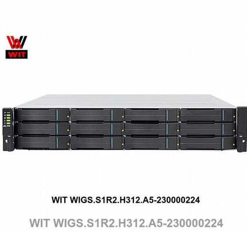 Схд WIT wigs.S1R2.H312.A5-230000224