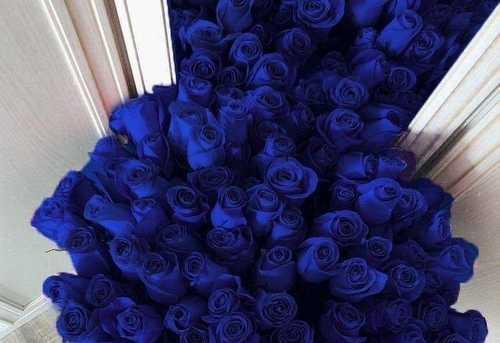 Синие розы. Букет синих роз
