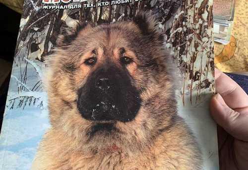 Журналы о собаках. Продаю коллекцию