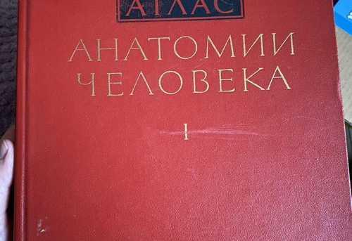 Анатомия человекасинельнтклв 1972 год первый том