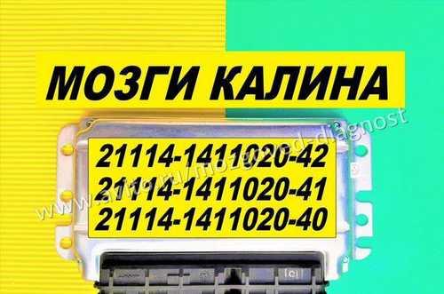 Мозги калина 1 8кл