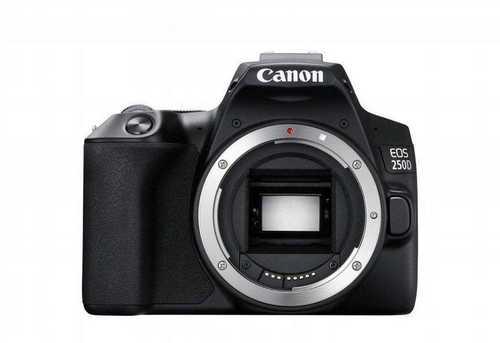 Canon 250D body (Новый)