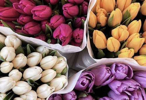 Тюльпаны оптом и в розницу