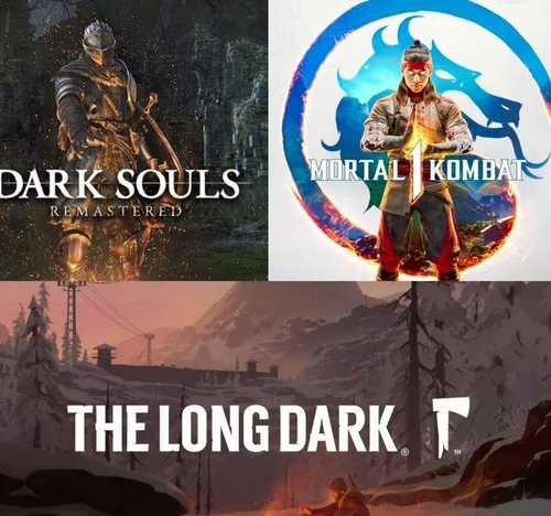 Dark souls  The Long Dark  Mortal Kombat 1