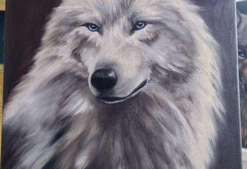 Картина маслом добрый белый волк. Под заказ