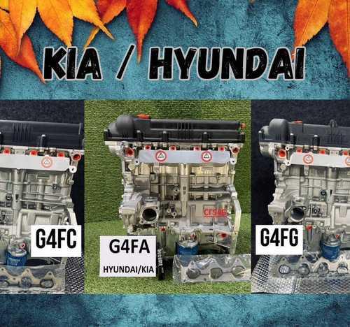 Новые двигатели Hyundai/Kia G4FG G4FC G4FA