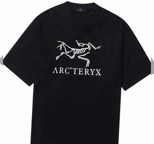 Футболка Arcteryx