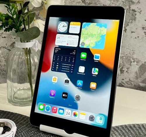 iPad mini 4
